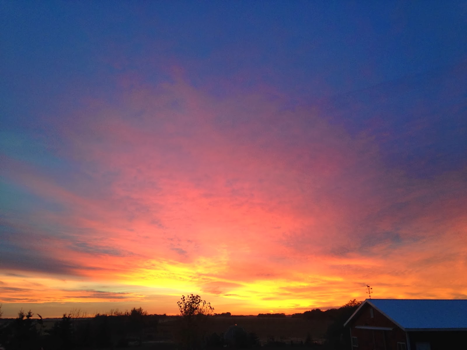 Leah's Blog: Positive Space Photo